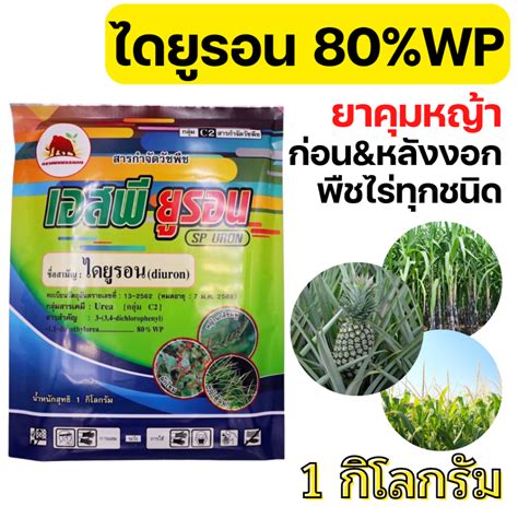 PTL 2แบบ ไดยรอน 80 WP แบบผง สารคม ฆา กำจดหญาวชพชในไรออย