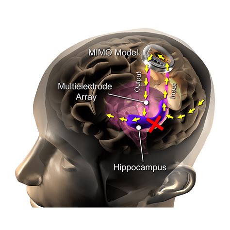 current projects — neural modeling and interface lab