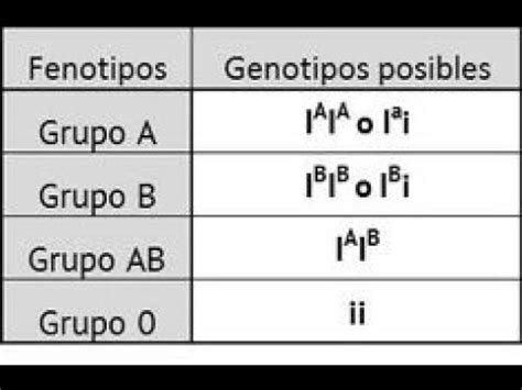 ALELOS MÚLTIPLES Y GRUPOS SANGUÍNEOS YouTube