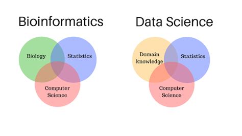 data science versus bioinformatics by zahra elhamraoui medium