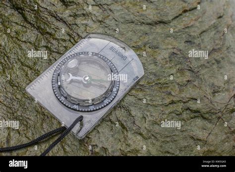 Orienteering Compass South East Metaphor Business Direction