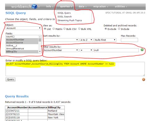 Workbench Salesforce Using Workbench Salesforce Tutorial Intervew