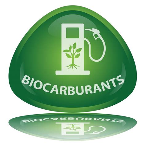 Un bilan sur les agrocarburants plutôt mitigé bioaddict fr