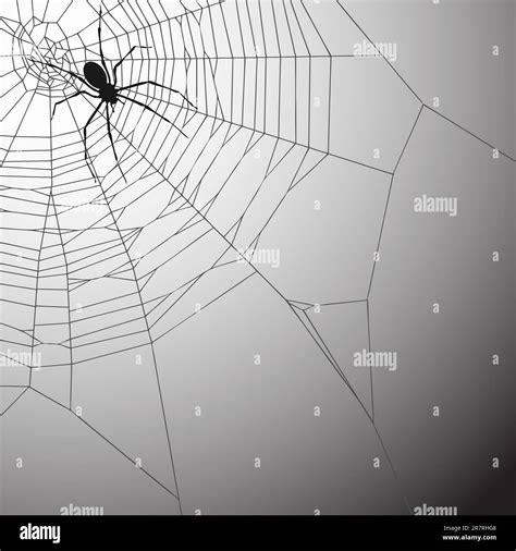 A Spiderweb Vector Illustration With Spider Stock Vector Image Art