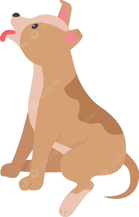 Es Gratis Adoptar Un Cachorro