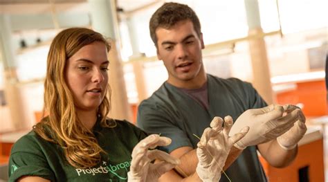 Do I Need Experience To Volunteer Overseas Projects Abroad