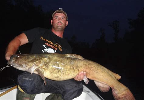 How To Catch Catfish The Complete Catfishing Guide FishingBooker Blog