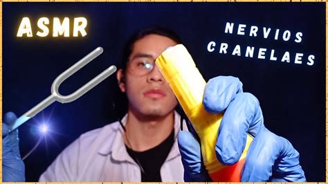 Asmr Espa Ol Examen De Nervios Craneales Roleplay Espa Ol Youtube