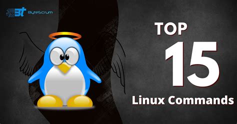 mastering linux a comprehensive guide to essential commands