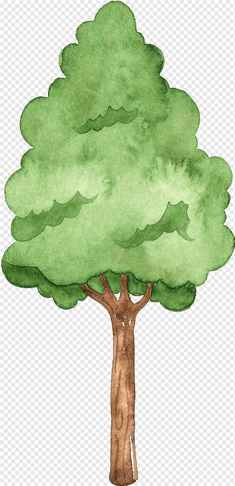 árvore de aquarela png PNGWing