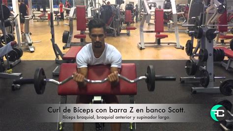 Curl De B Ceps Con Barra Z En Banco Scott Youtube