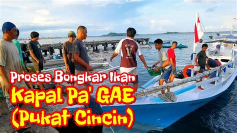TPI Cempae Pare Pare Nelayan Kapal Pa Gae Pukat Cincin Bongkar Ikan