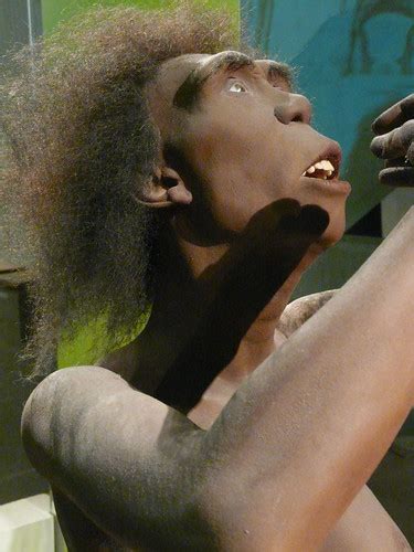 Getting Naked How Early Humans Lost Their Fur