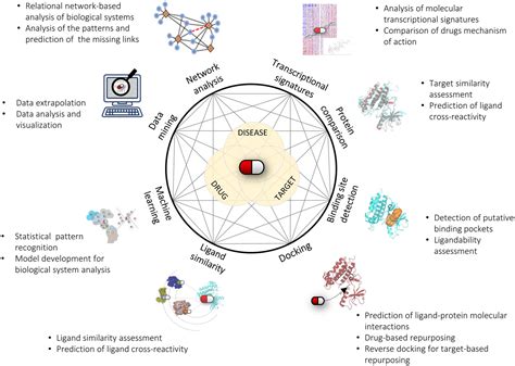 frontiers on the integration of in silico drug design methods for drug repurposing