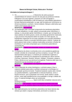 Relatório prática Bases da biologia celular molecular e tecidual 1