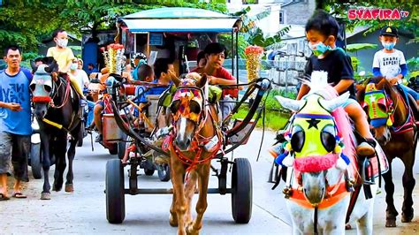 Parade Kuda Delman Kuda Tunggang Di Tengah Jalan Tanah Kusir Bkt