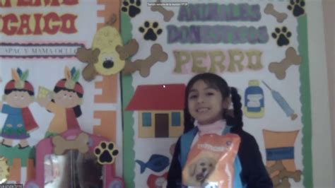 Exposición sobre mi mascota YouTube