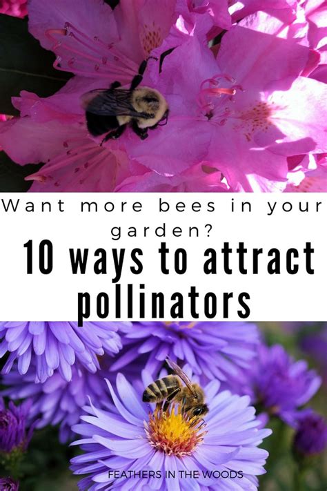 What Will Attract Bees To My Garden At Jack Beauford Blog
