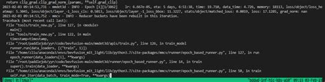 Runtimeerror Bevfusion Main Mmdet D Ops Spconv Include Tensorview