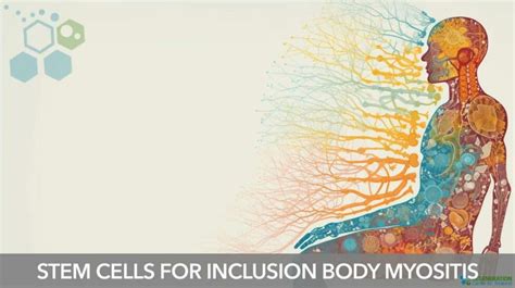 Stem Cell Therapy For Inclusion Body Myositis Autoimmune Ibm