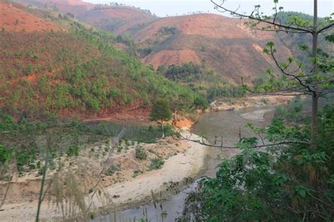 Vietnam Tiene Millones De Hect Reas De Bosques Nhan Dan En