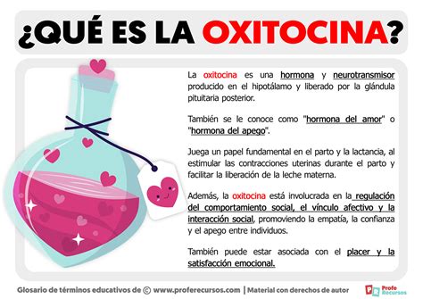 Qué es la Oxitocina Definición de Oxitocina