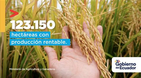 Agricultura Y Ganader A Ecuador On Twitter Bajamos Costos De
