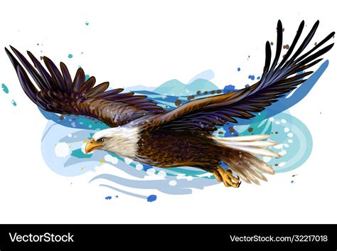 Soaring Bald Eagle Color Realistic Portrait Vector Image