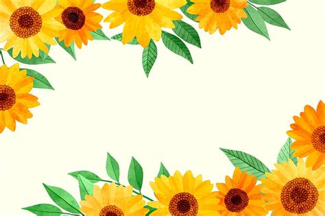 Sunflower Vectors Illustrations For Sunflower Cartoon Hd Wallpaper