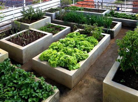 Horta sustentável pode ser feita até mesmo em espaços pequenos