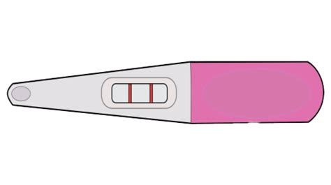 Positive Pregnancy Test Transparent PNG All