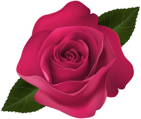 Recopilaci N Imagen Flores De Papel Png Abzlocal Mx