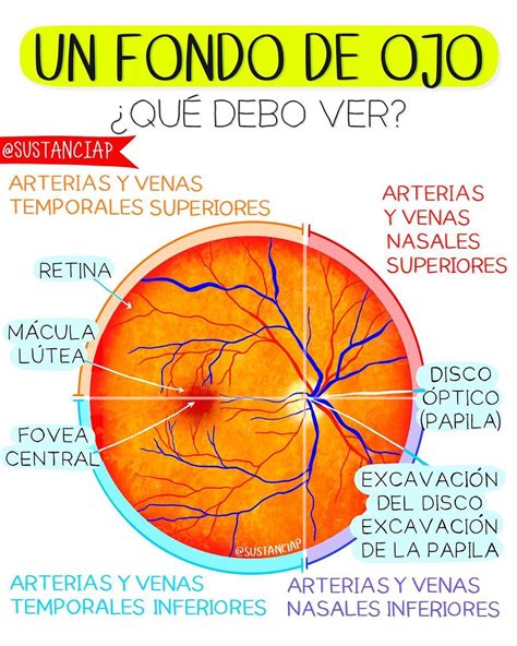 SUSTANCIA P por Paula Parra on Instagram QUÉ DEBEMOS VER