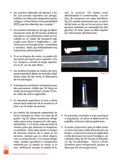 Cuaración avanzada de las úlceras del píe diabético PDF