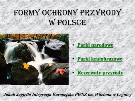 PPT FORMY OCHRONY PRZYRODY W POLSCE PowerPoint Presentation Free