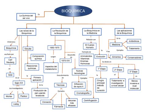 Bioenergetica Bioquimica Mapa Conceptual Jlibalwsap