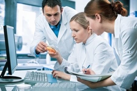 13 ejemplos de ciencias fácticas y definición Yavendrás