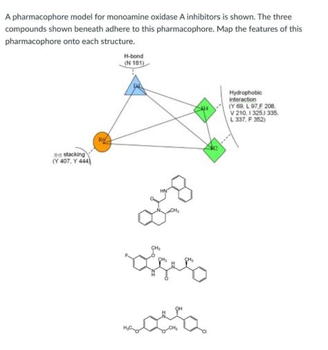Solved A Pharmacophore Model For Monoamine Oxidase A Chegg
