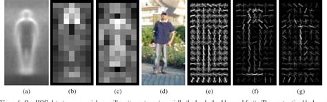 [pdf] histograms of oriented gradients for human detection semantic scholar