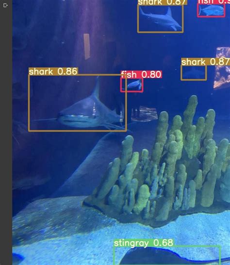 Yolov Real Time Object Detection At Its Best