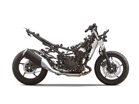 Kawasaki Ninja Se Th Anniversary Edition Abs Guide Total