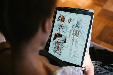 What Is The Difference Between Medical Ethics And Bioethics Trinity