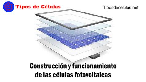 Construcci N Y Funcionamiento De Las C Lulas Fotovoltaicas Tipos De