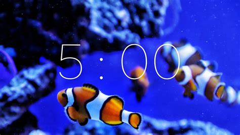 5 Minute Aquarium 4K Countdown Beautiful Calm Relaxing Piano Music