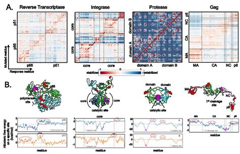 Underlying Allosteric Mechanisms Were Found In Several HIV 1 Proteins