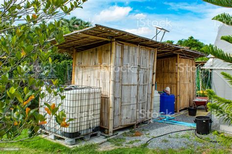 Detail Contoh Pondok Kebun Koleksi Nomer 53