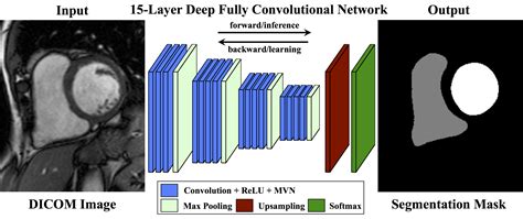 image segmentation using fully convolutional neural networks code vrogue