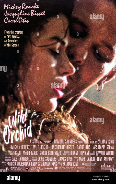 Wilde Orchidee Carre Otis Fotos Und Bildmaterial In Hoher