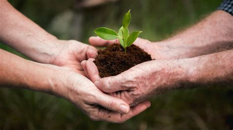 Legislação ambiental brasileira 5 leis que você precisa conhecer