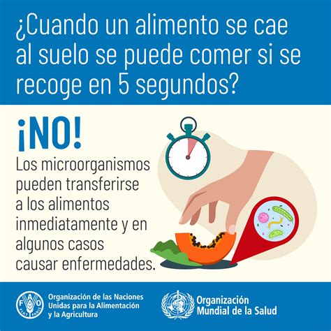 Inocuidad Y Gesti N Alimentaria Aliar Gestiona